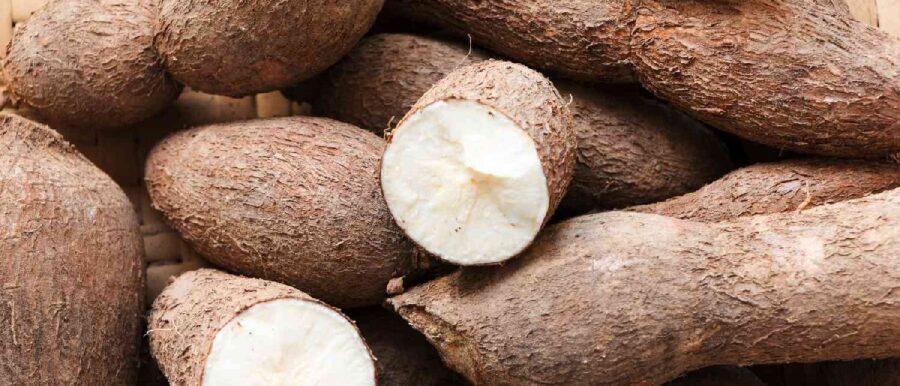 5 Health Benefits of Tapioca You Probably Never Knew – IronMag Labs ...