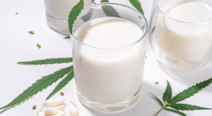 What is Hemp Milk & What are the Benefits? – IronMag Labs Bodybuilding ...