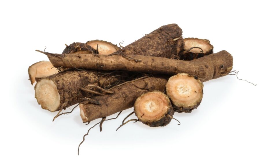 Is Malanga a Root You Should Start Taking? – IronMag Labs Bodybuilding ...