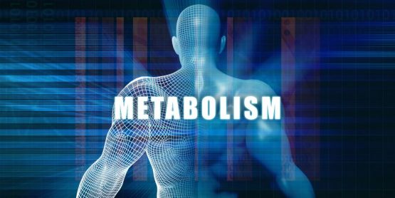 Metabolism Mayhem – IronMag Labs Bodybuilding Supplements