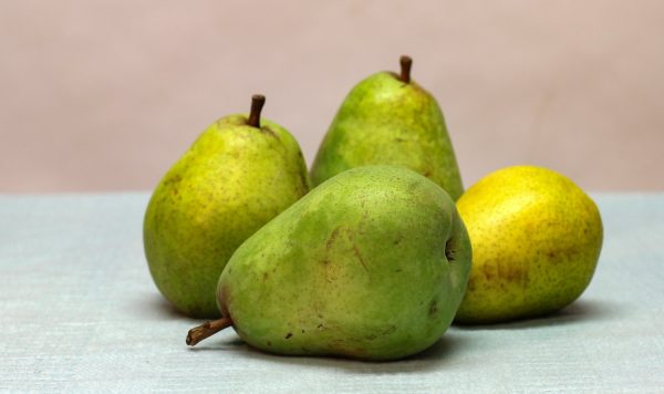 5 Juicy Health Benefits of Eating Pears – IronMag Labs Bodybuilding ...